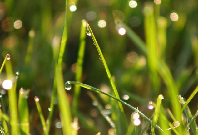 Moravian Church In America – Our Lamb Has Conquered. Let Us Follow Him.